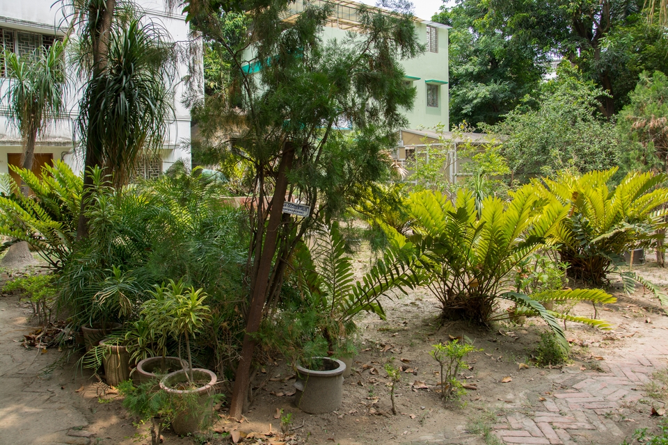 Botany Photo-Gallery