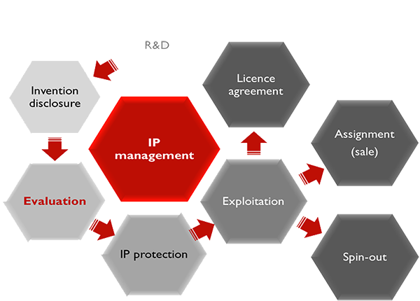 Ipr University Ip